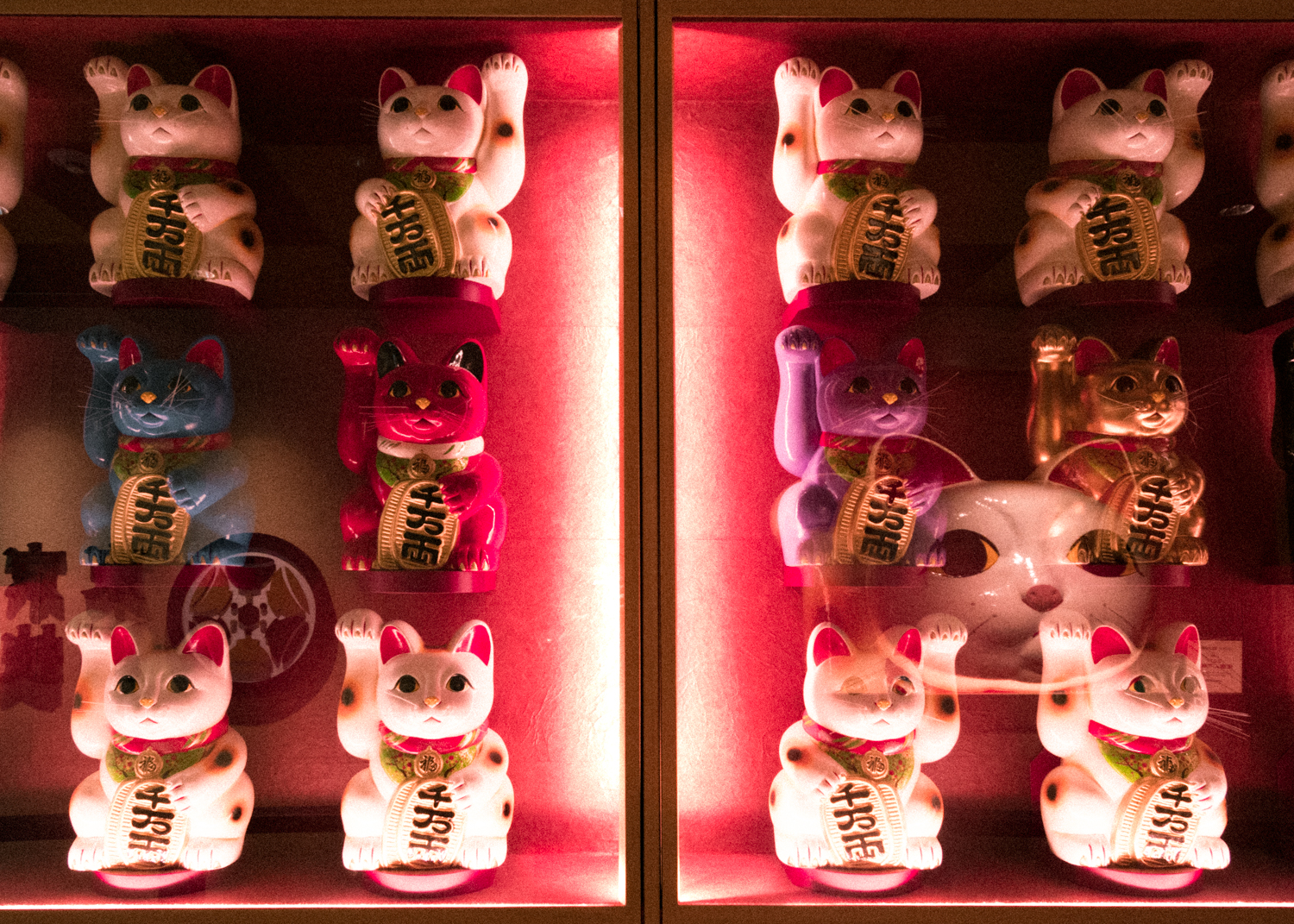 Manekineko, couleurs et signification | Jyazu Photographie d'Art